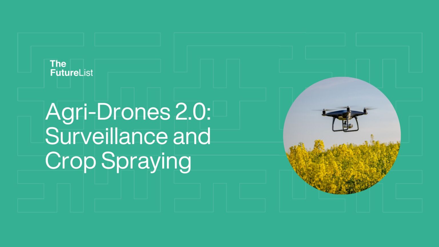 Agri-Drones 2.0: Surveillance and Crop Spraying - The FutureList - Step ...