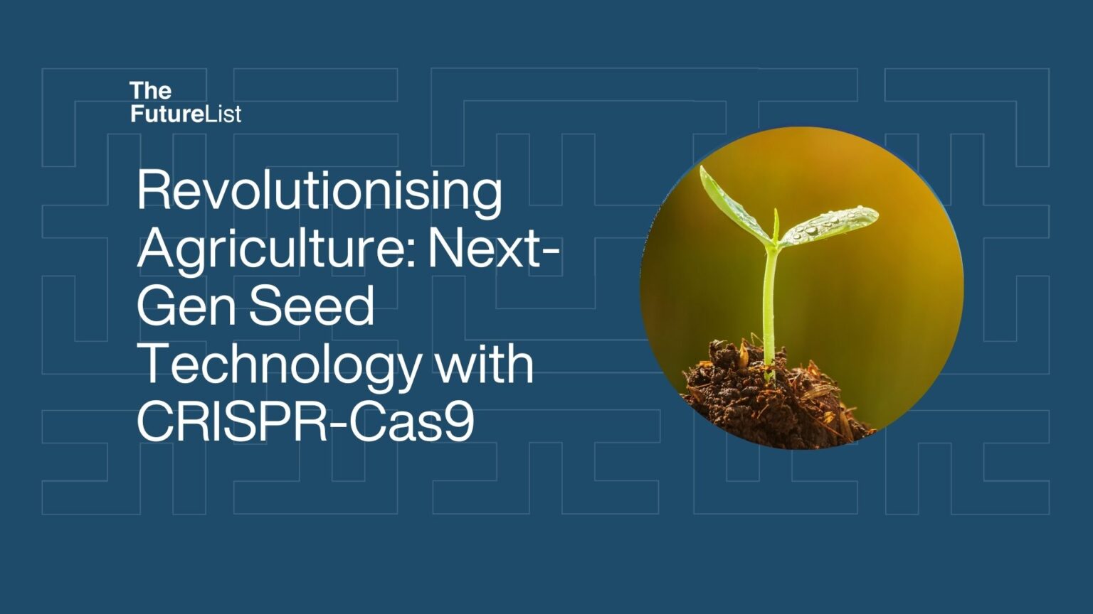 Revolutionising Agriculture: Next-Gen Seed Technology with CRISPR-Cas9 ...